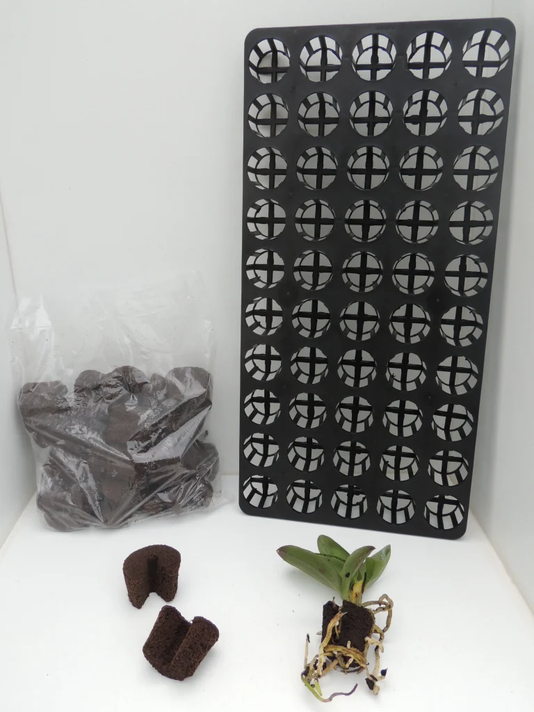 Coir Plugs 40mm - For Deflasking - Brisbane Orchid Supplies