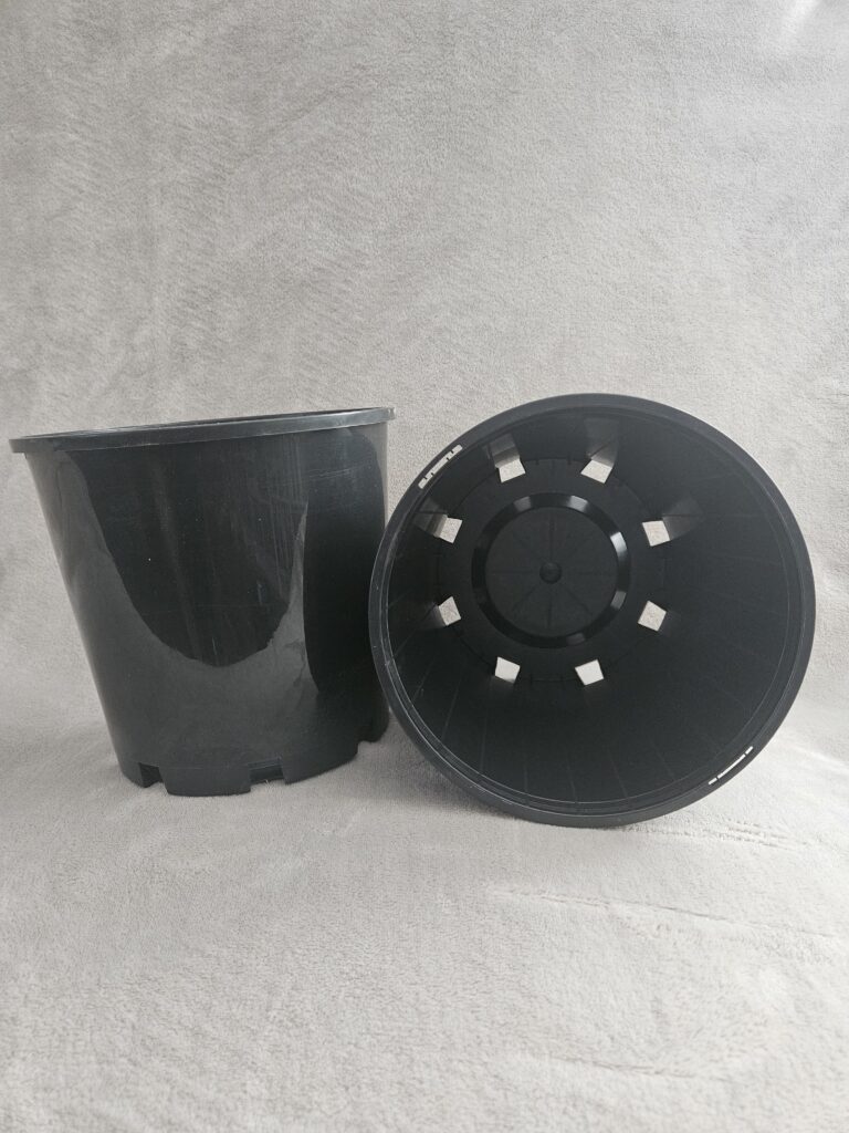 70 x 65 Squat Pot - Brisbane Orchid Supplies