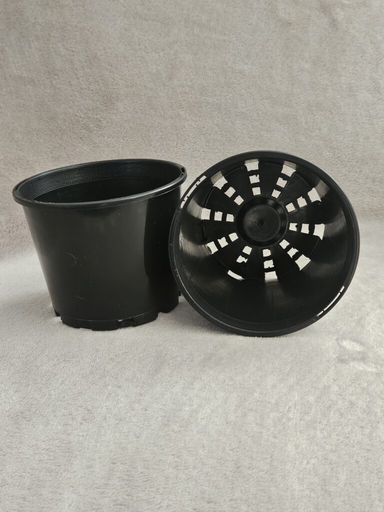 125 x 100 Squat Pot - Brisbane Orchid Supplies